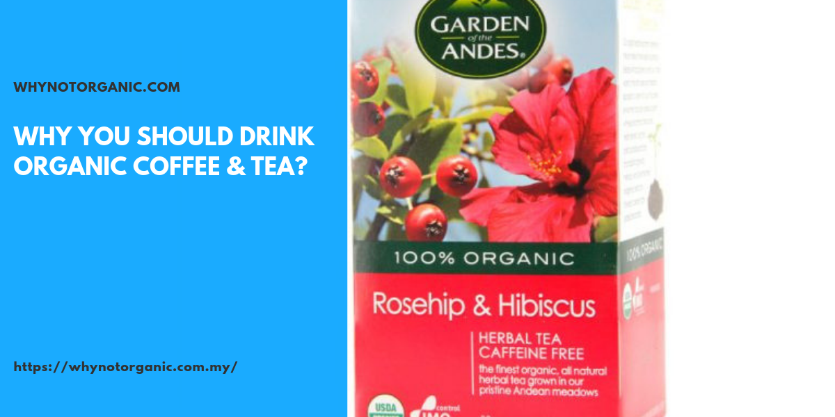 Why You Should Drink Organic Coffee & Tea? - Service Info Malaysia